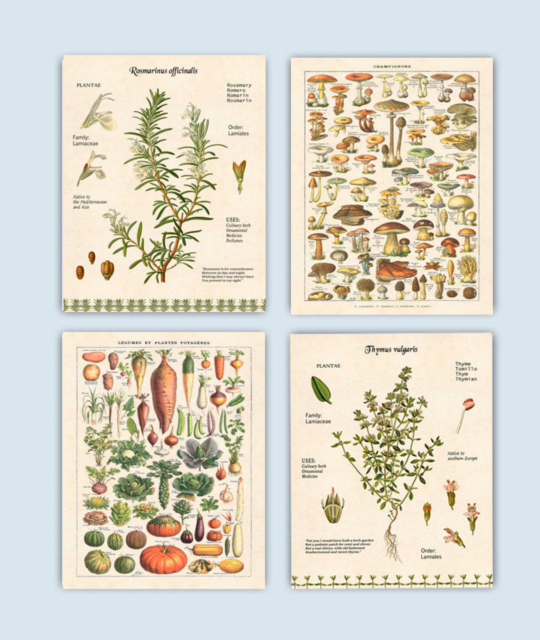 Kitchen Wall Art, French Kitchen Decor, Culinary Gifts, Restaurant ...