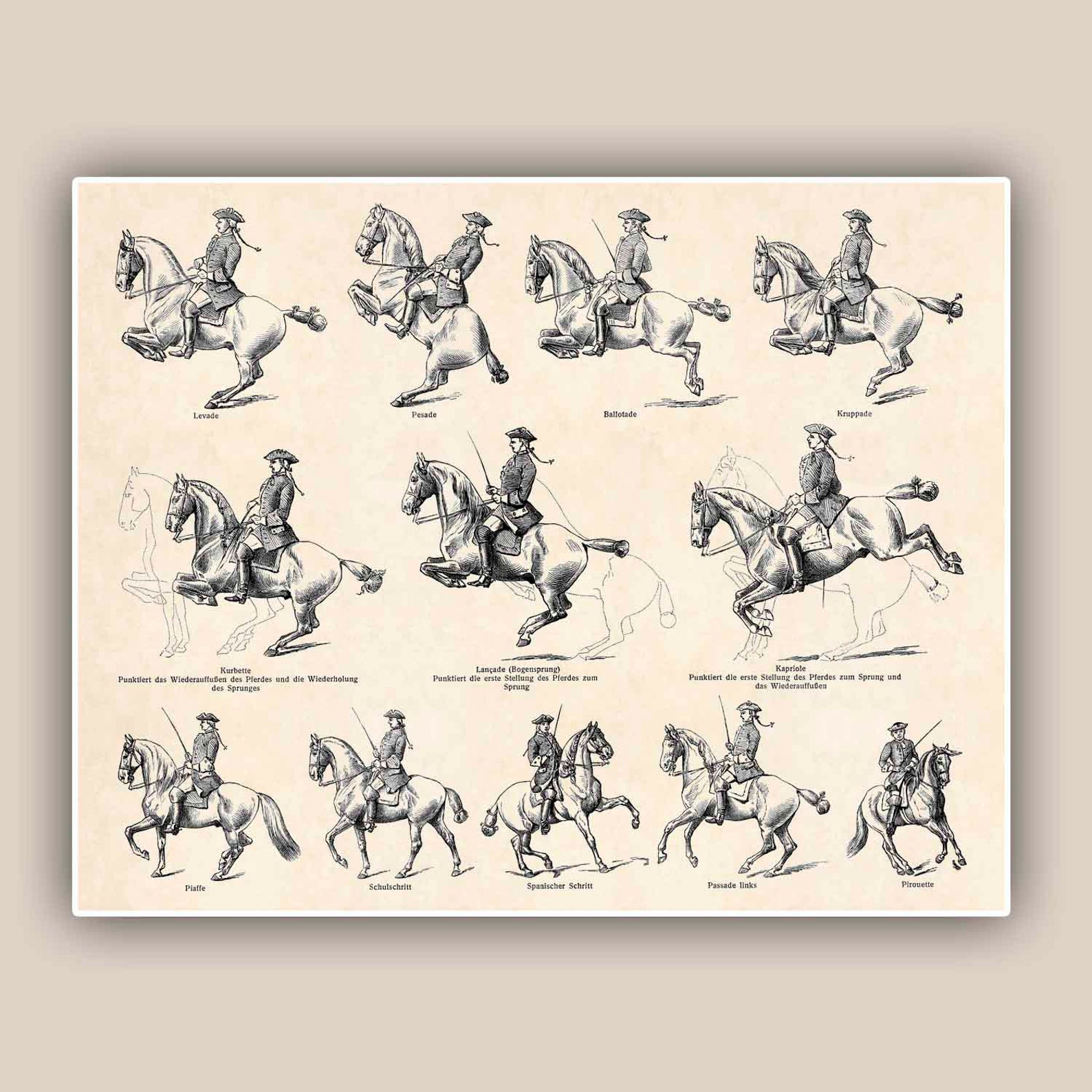 Horseback Riding Art, Equestrian Print, Horse Lover Gift - Etsy