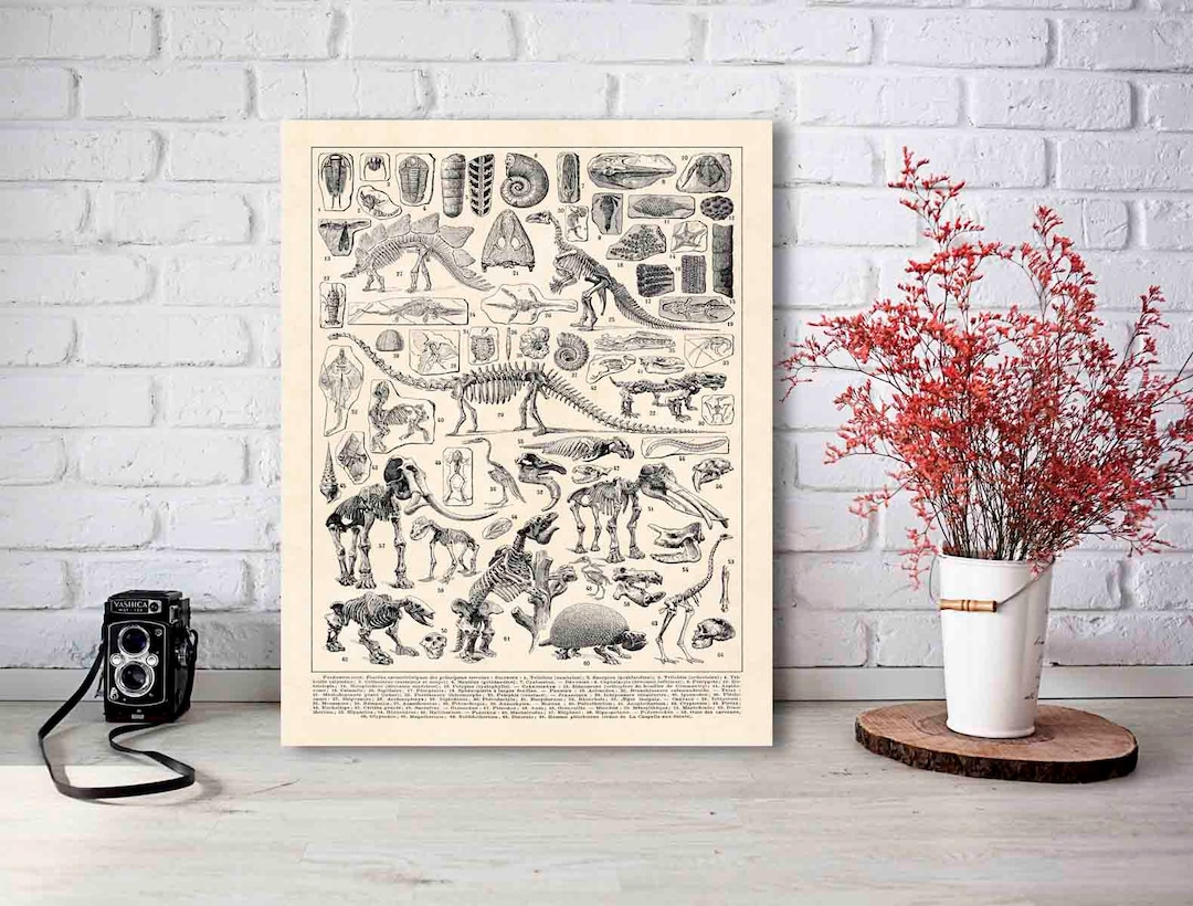 Paleontology Poster, Extinct Animals, Prehistoric Art, Dinosaur Decor ...
