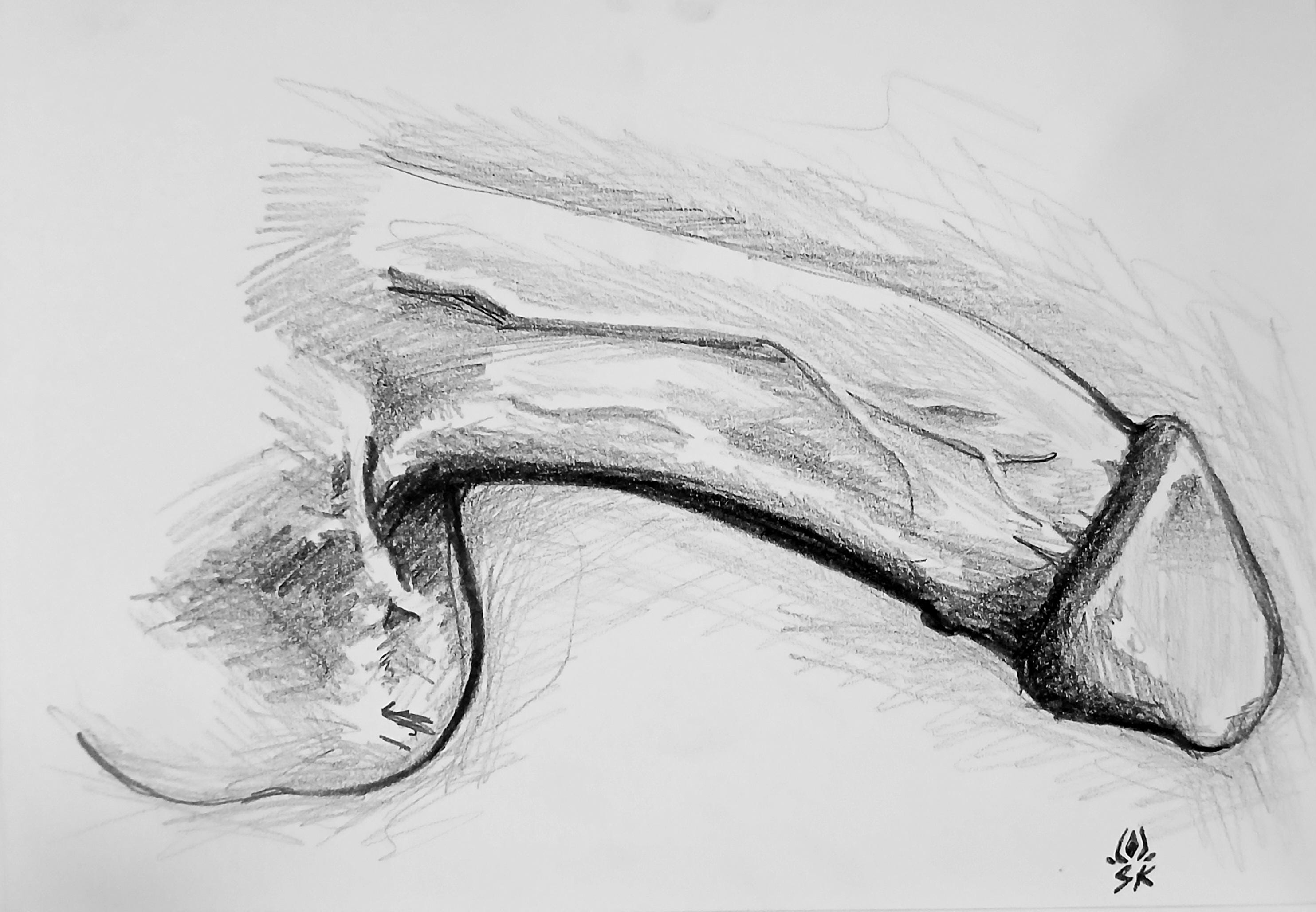 Personalized Penis Drawing In A5 Format Erotic Art Etsy 3575