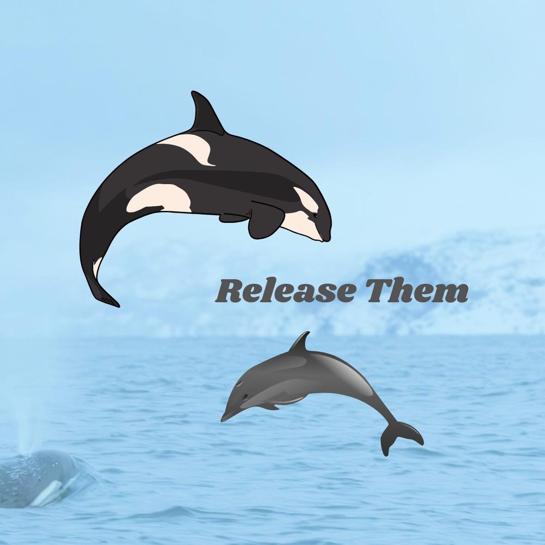 Release Them Printable Sticker - Etsy