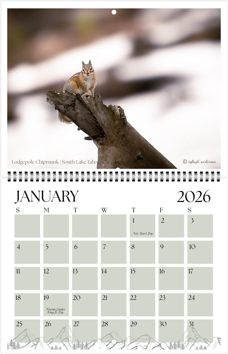 WILD 2026: Wildlife Calendar by Ryleigh Andersen - Etsy Canada