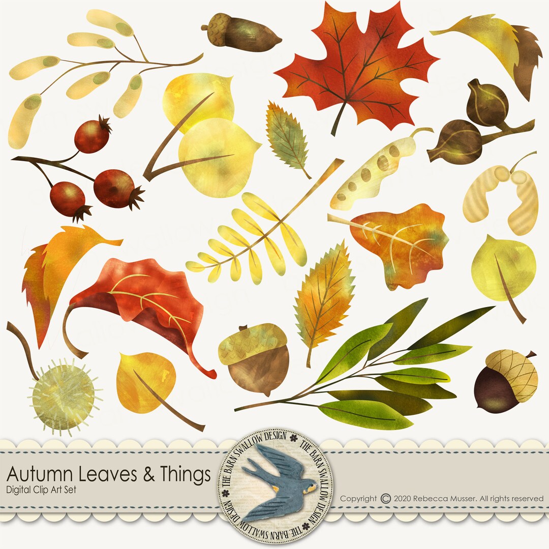 Digital Clipart Pack Instant Download - "autumn Leaves & Things ...