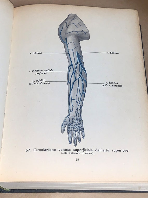 Normal Anatomy Books