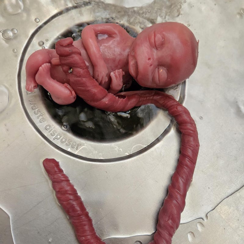 20 Week Gestational Doll - Etsy