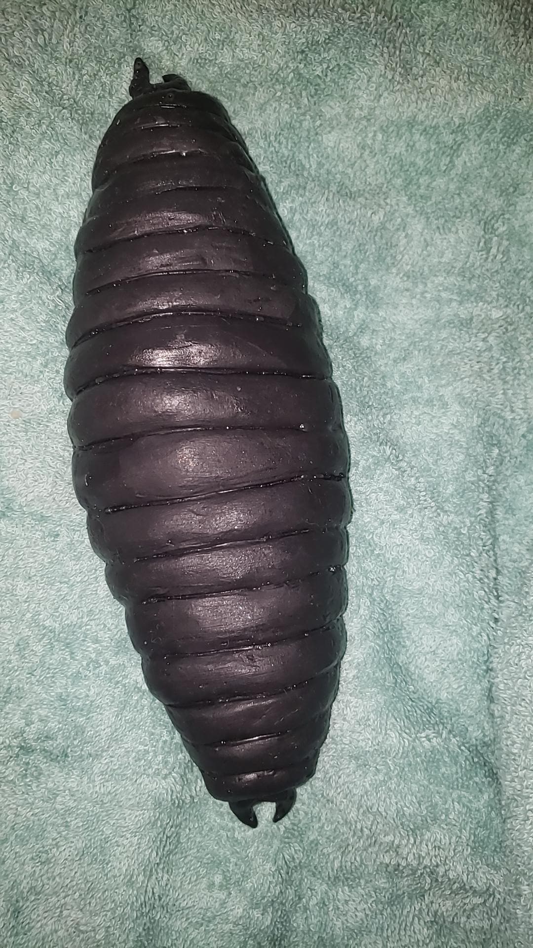 Full-body Silicone Flobber Worm From Harry Potter 10 Inches - Etsy
