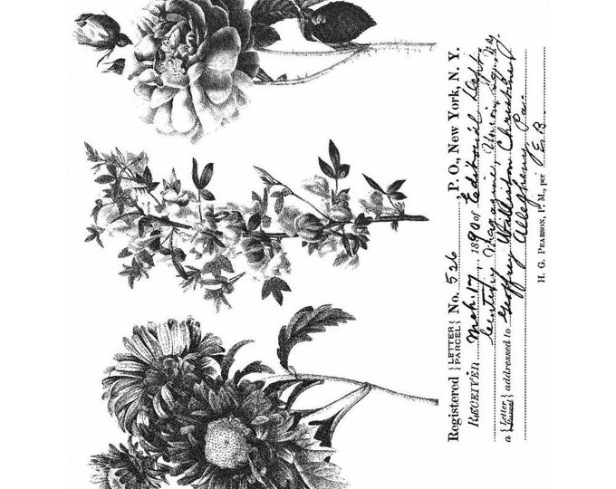 Tim Holtz Cling Mount Stamps - Flower Shop CMS401 - Etsy