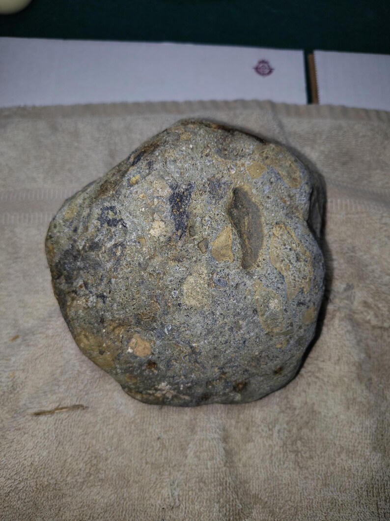 Gowganda Tillite Conglomerate Pudding Stone - Etsy