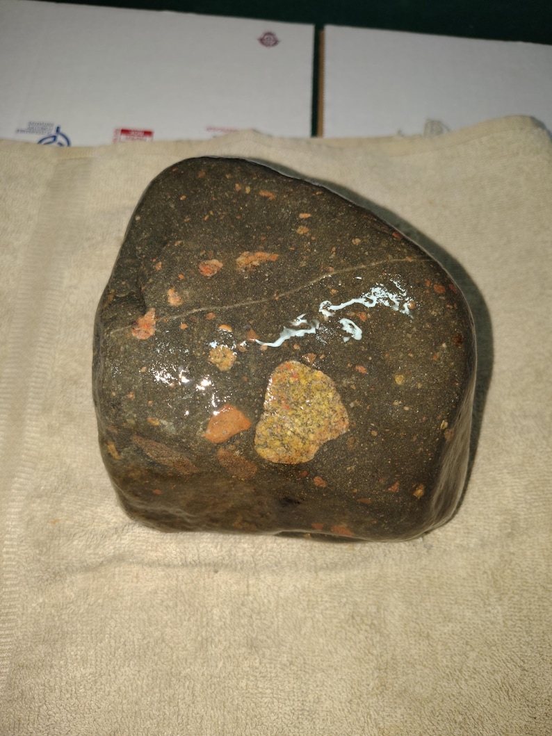 Gowganda Tillite Conglomerate Pudding Stone - Etsy