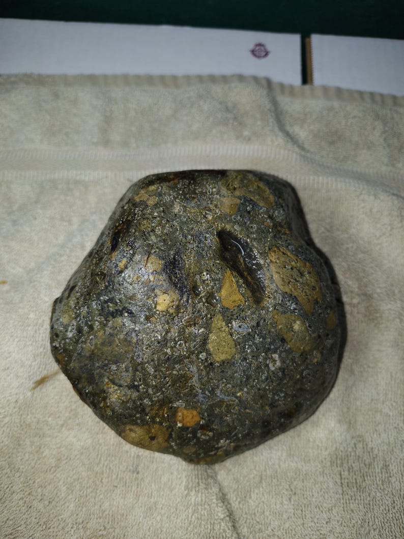 Gowganda Tillite Conglomerate Pudding Stone - Etsy