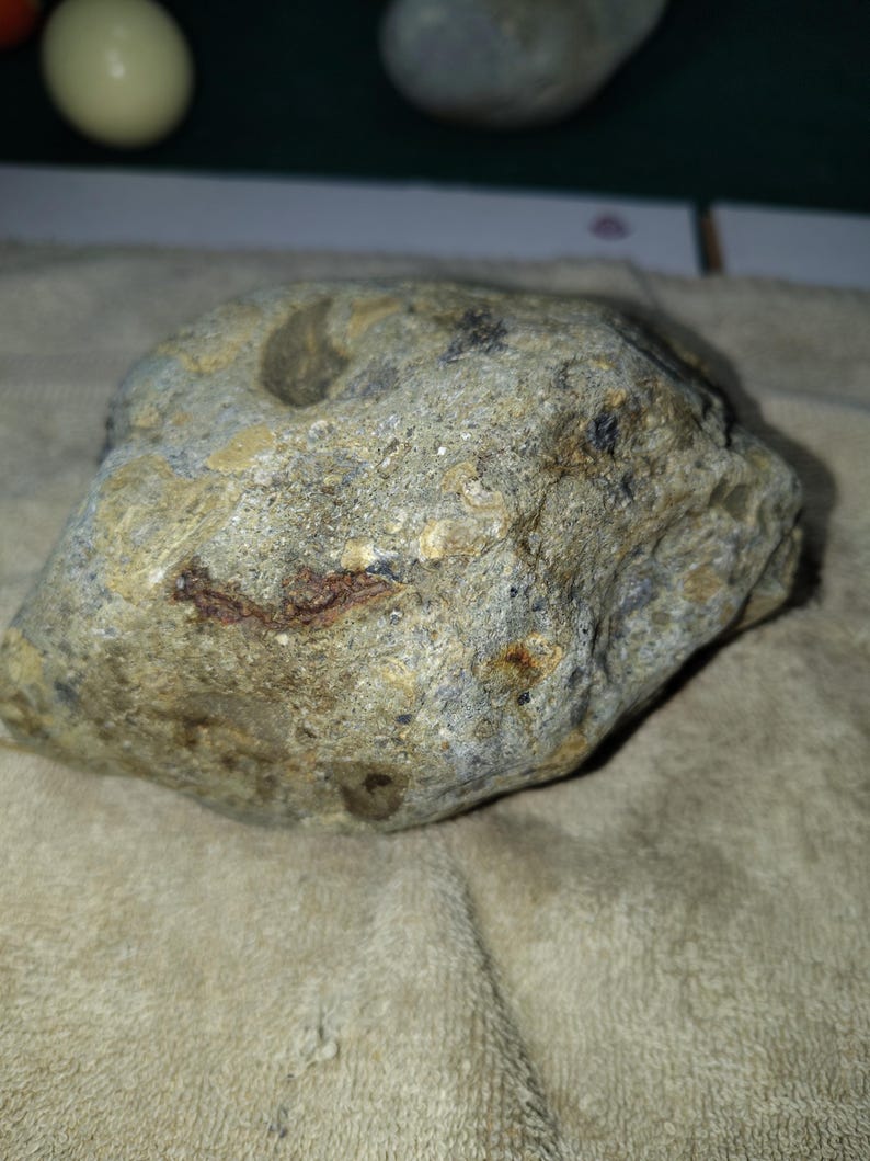 Gowganda Tillite Conglomerate Pudding Stone - Etsy