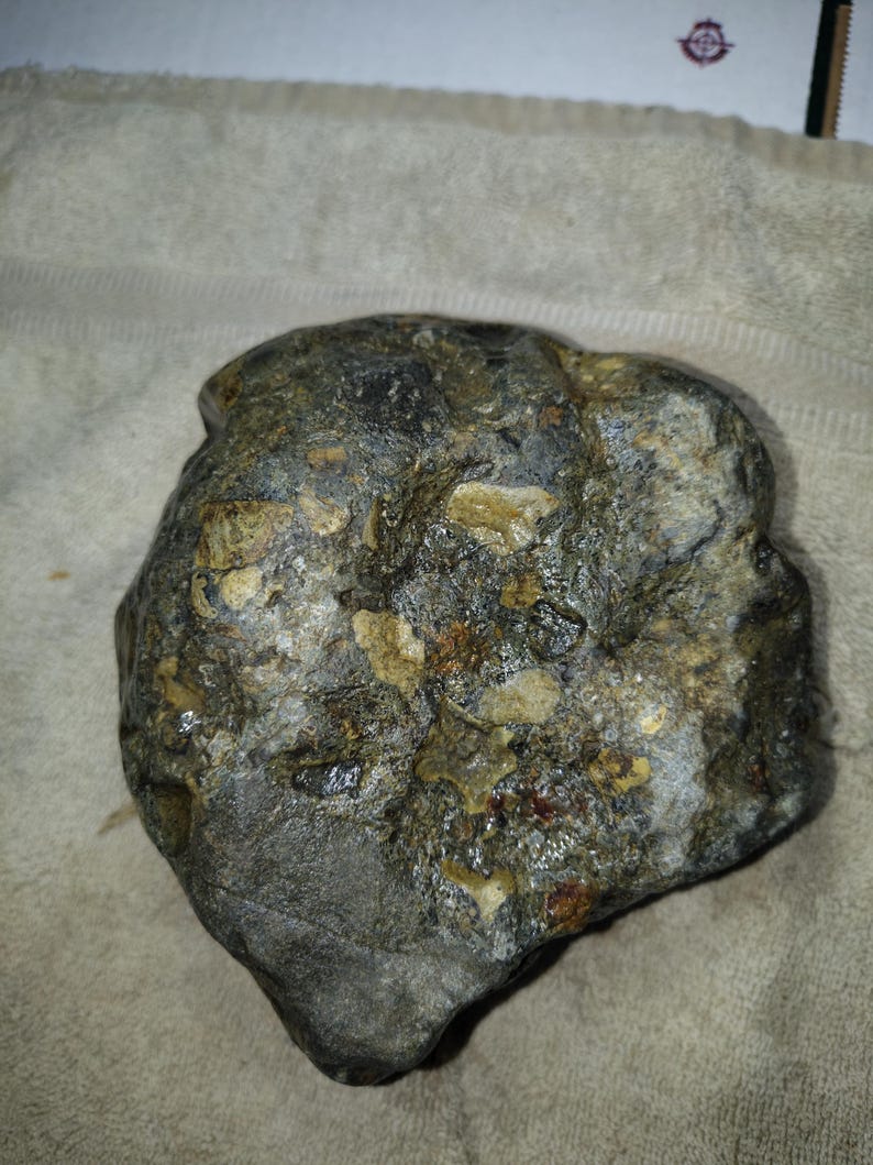 Gowganda Tillite Conglomerate Pudding Stone - Etsy