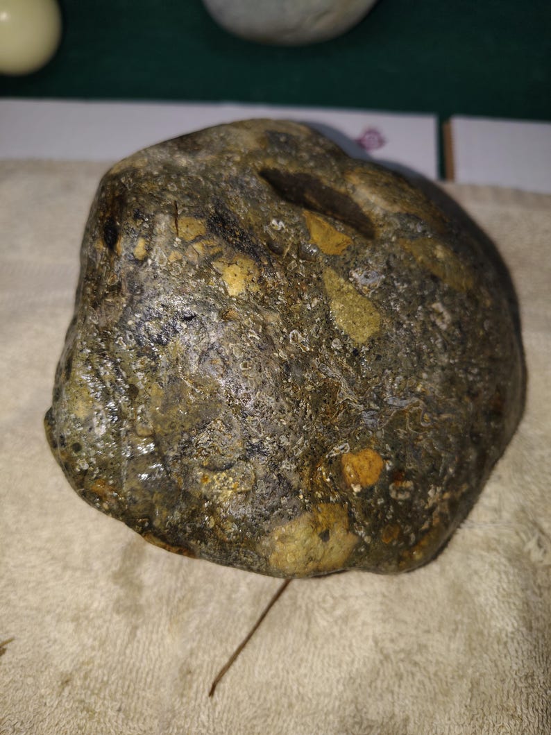 Gowganda Tillite Conglomerate Pudding Stone - Etsy