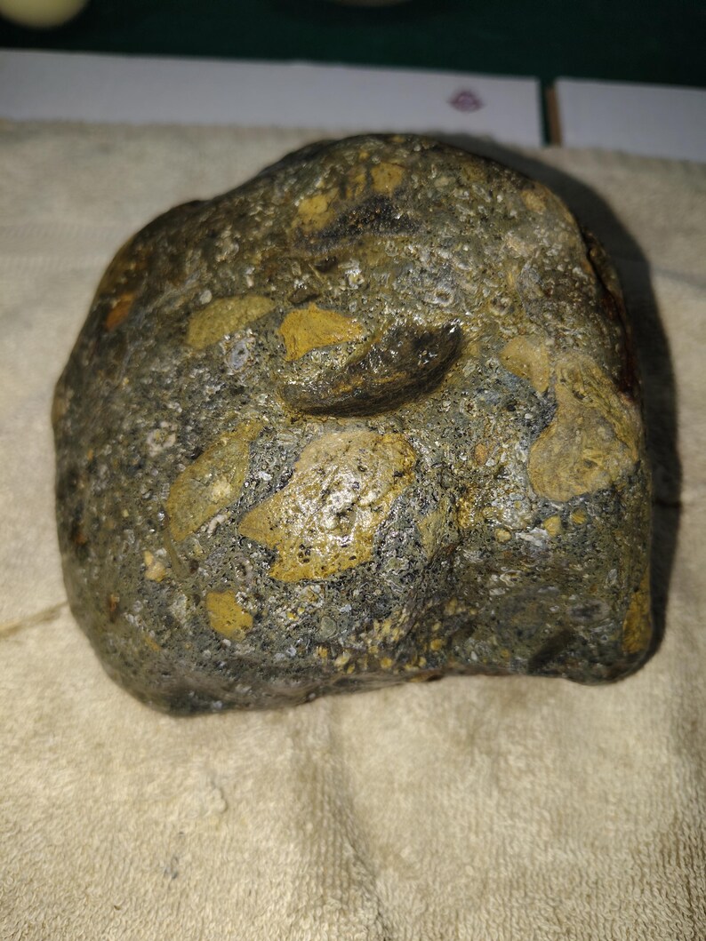 Gowganda Tillite Conglomerate Pudding Stone - Etsy