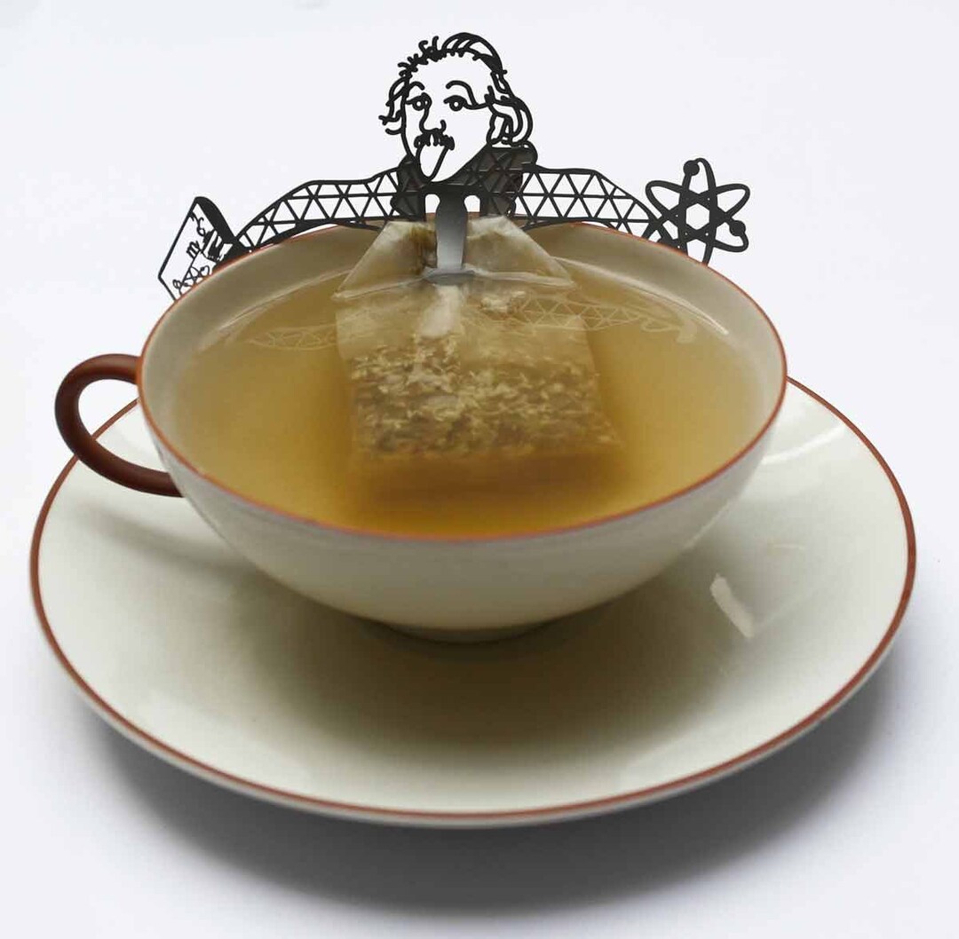 Einstein Tea Bag Holder Gift, 3D Stainless Steel Figure to Drink Tea ...