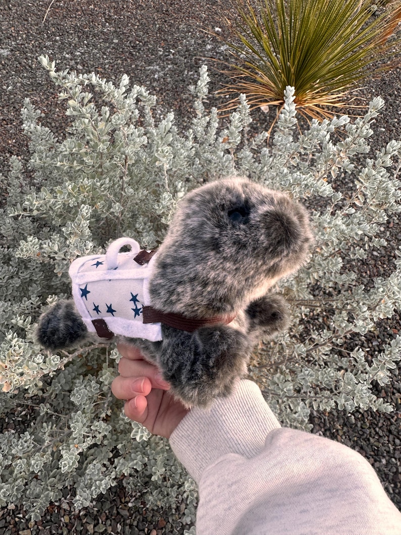 Custom Essa/stuffed Animal Vest *CHECK DESCRIPTION - Etsy