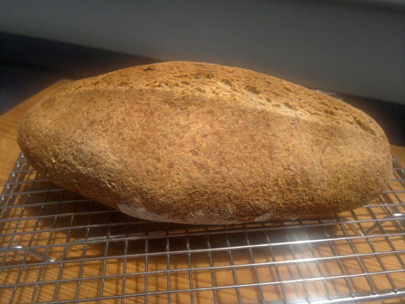 Buckwheat Artisan Bread Recipe Gluten Free No Dairy No Gum Etsy