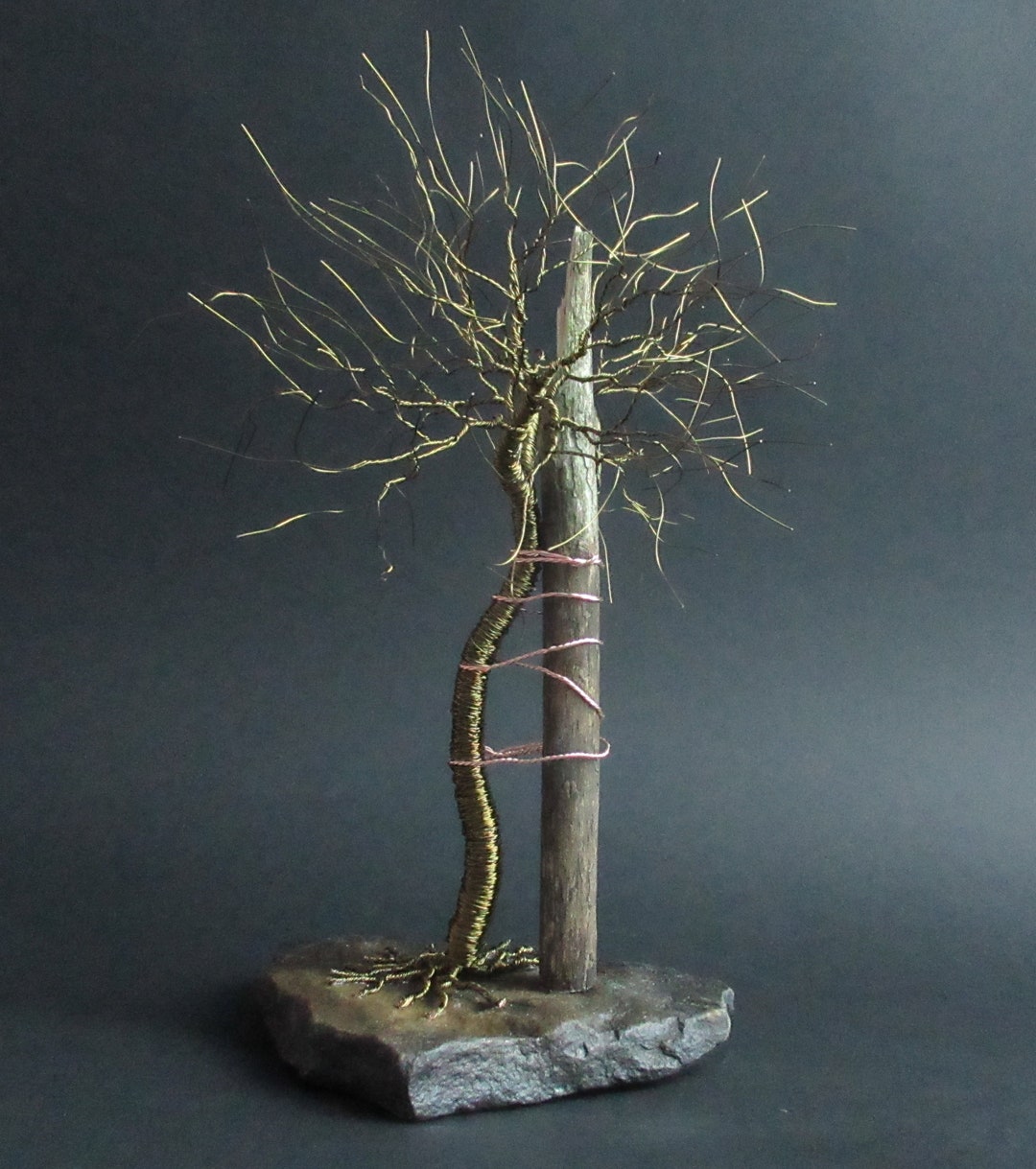 Tree of Andry Wire Tree Sculpture Gift Orthopedic Surgeon Chiropractic ...