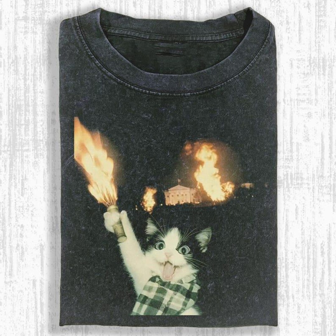 Rebel Cat Night Scene Shirt, Meme Graphic Sweatshirt, Unisex Streetwear ...