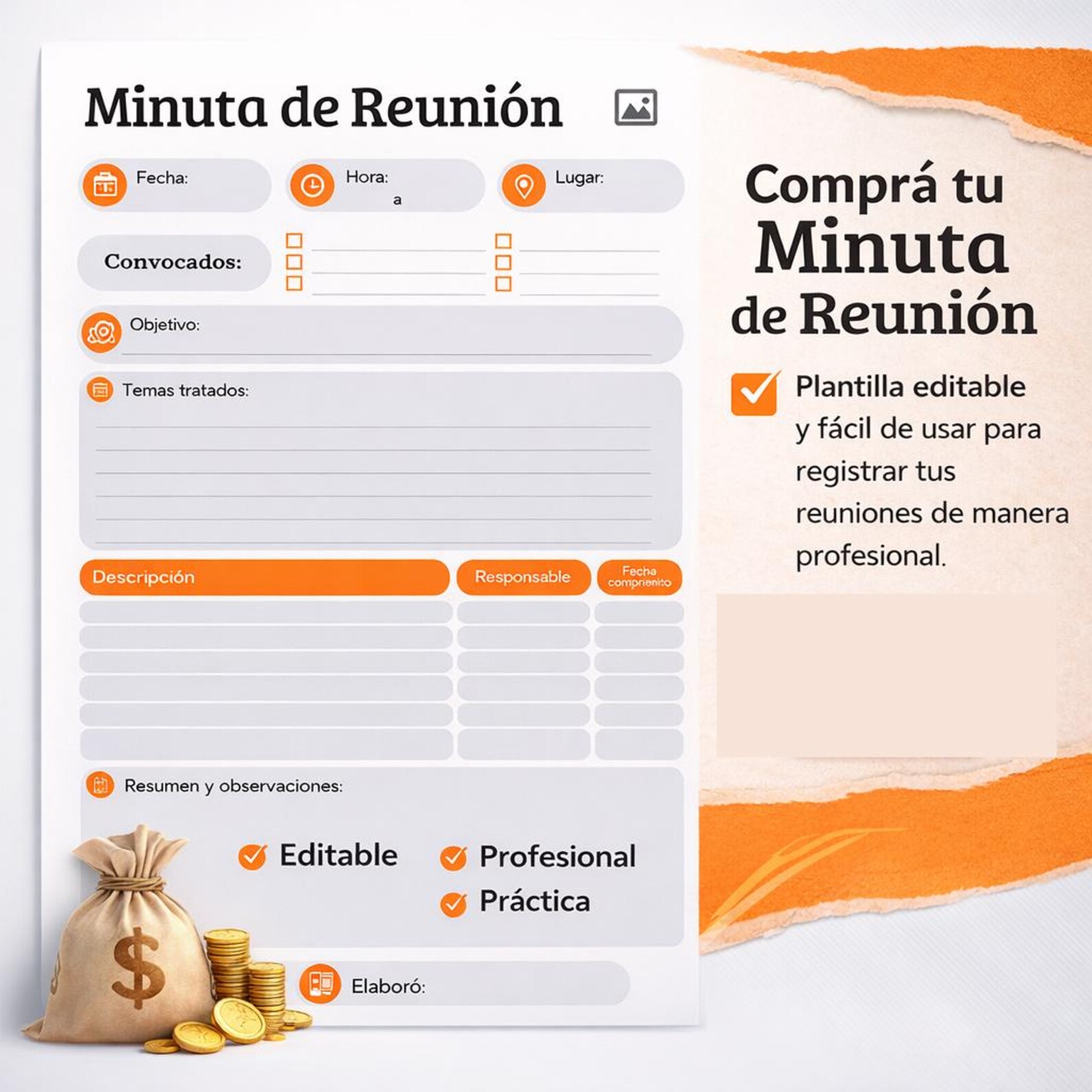 Executive Professional Meeting Minutes | Fillable A4 PDF Template ...