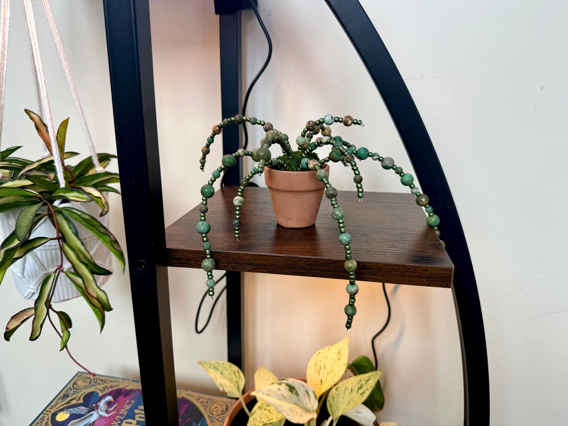 Stone and Glass Beaded Forever Succulent, Faux Plant, Sting of Pearls ...