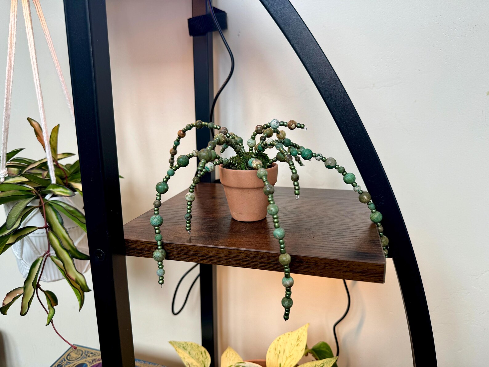 Stone and Glass Beaded Forever Succulent, Faux Plant, Sting of Pearls ...