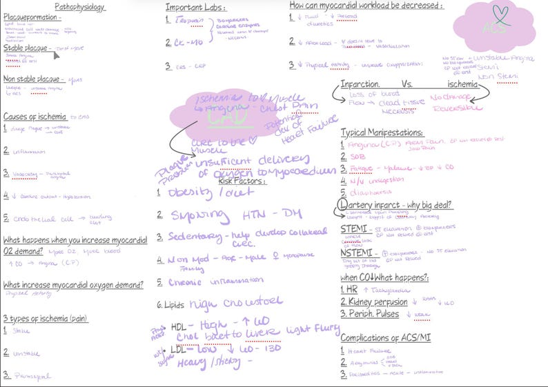 Nursing Concept Map Template | Pathophysiology Study Guide | Printable ...