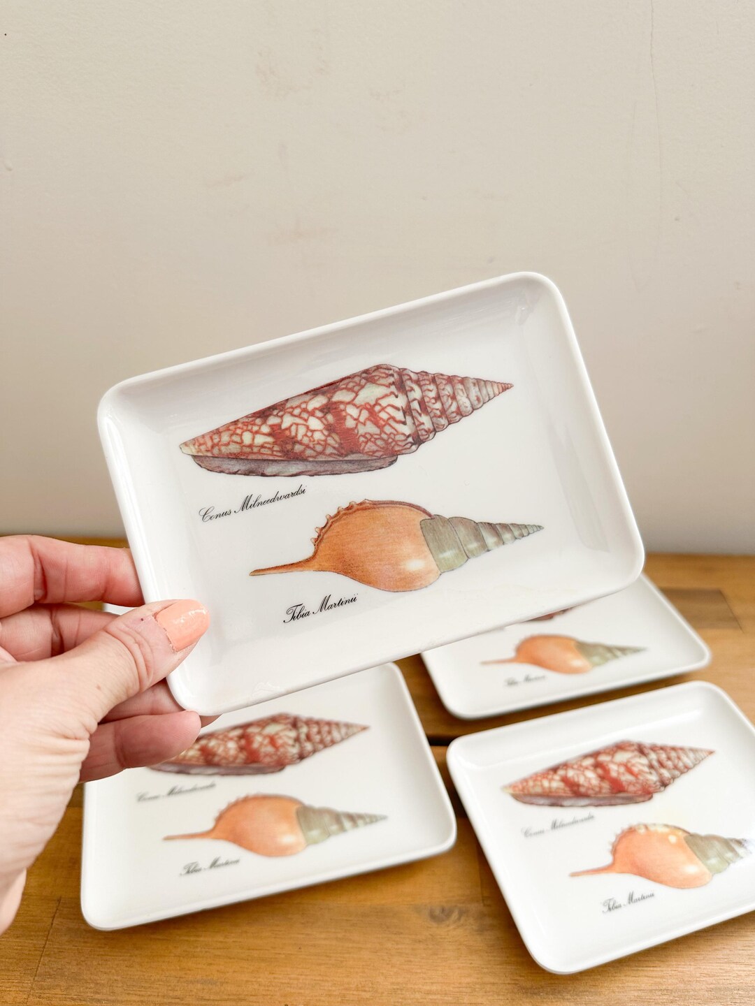 Vintage Set of 5 Seashell Italian Melamine Plates - Etsy
