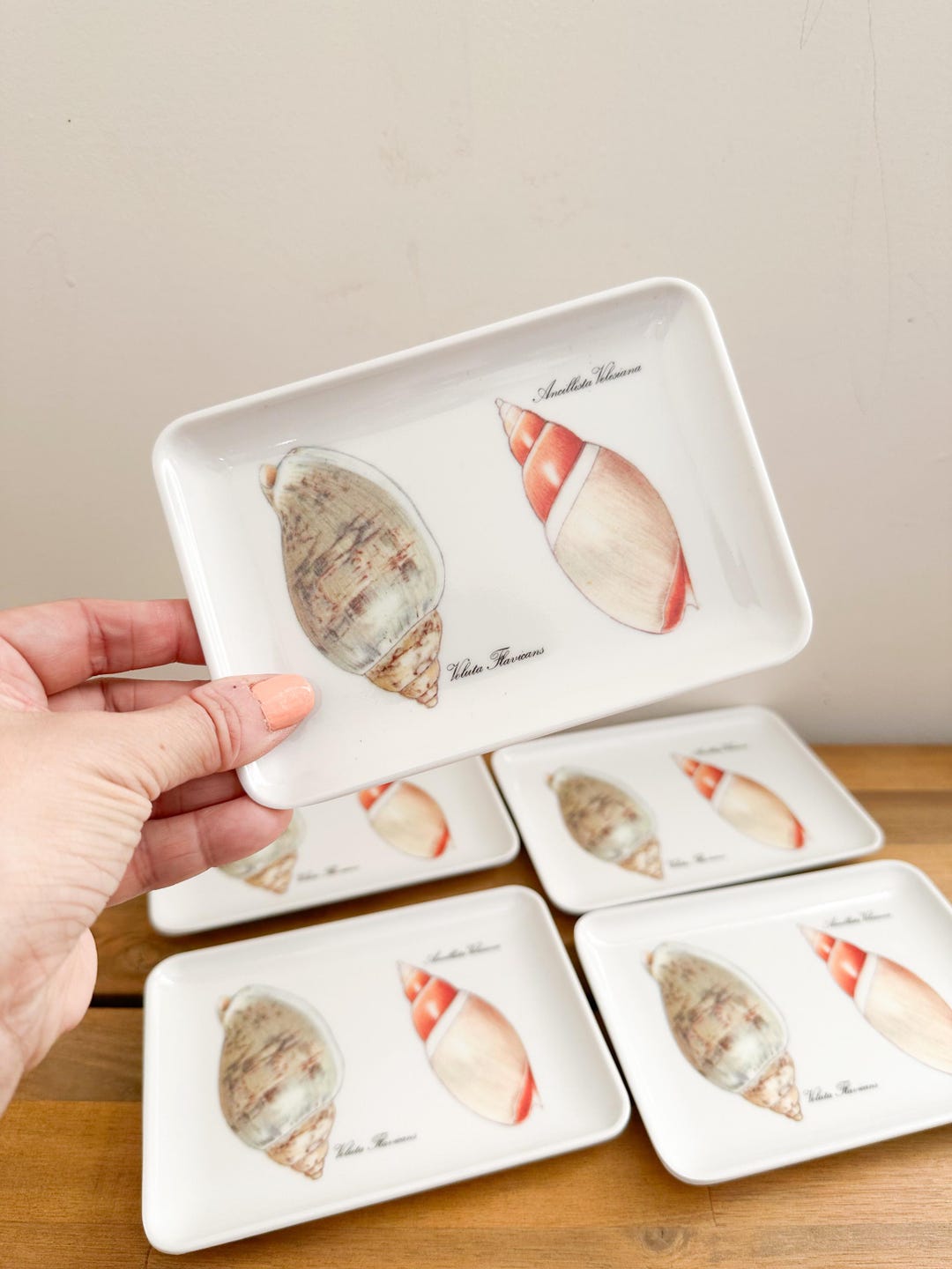 Vintage Set of 5 Seashell Italian Melamine Plates - Etsy