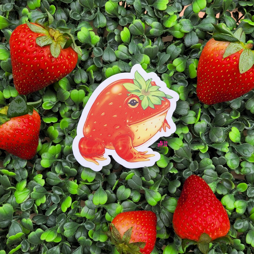 Strawberry Pacman Frog Vinyl Sticker - Etsy