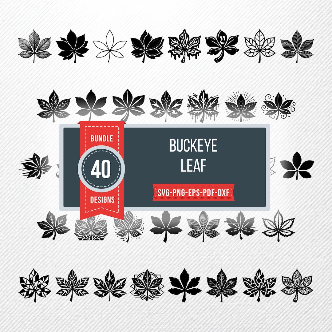 Buckeye Leaf SVG Bundle, 40 Diverse Styles Clipart, PNG EPS Dxf, Cricut ...