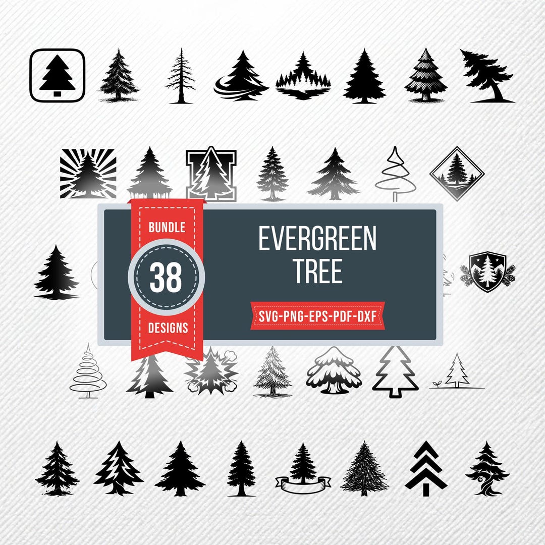 Evergreen Tree SVG Clipart Bundle | 38 Vector Illustrations | PNG Eps ...