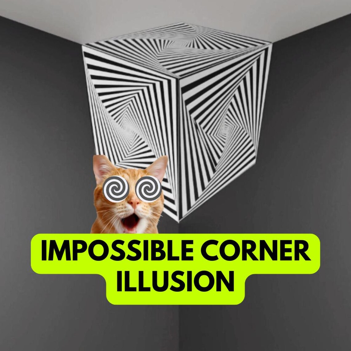 Trippy 3D Cube Illusion | Black and White Optical Illusion | Wall ...