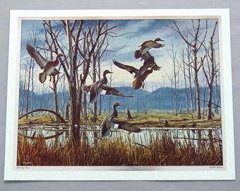 David maass art | Etsy