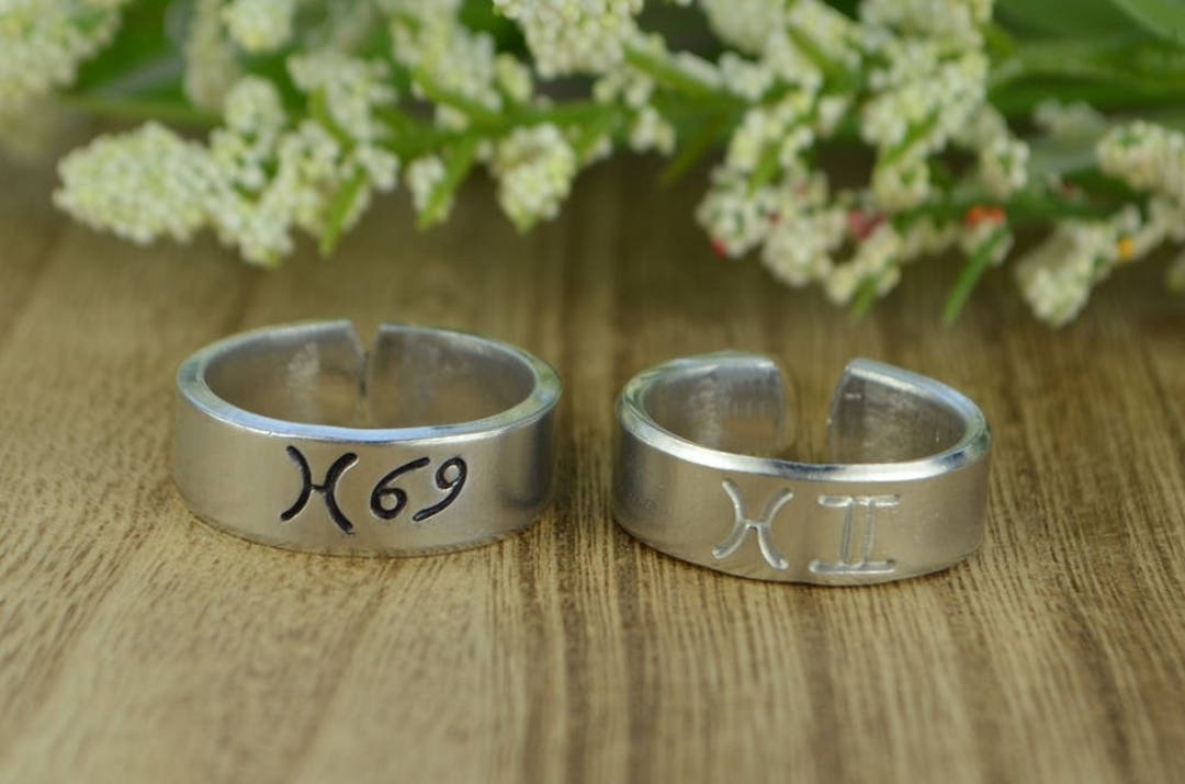 Any Two Zodiac Signs Adjustable Ring- Hand Stamped Aluminum Zodiac ...