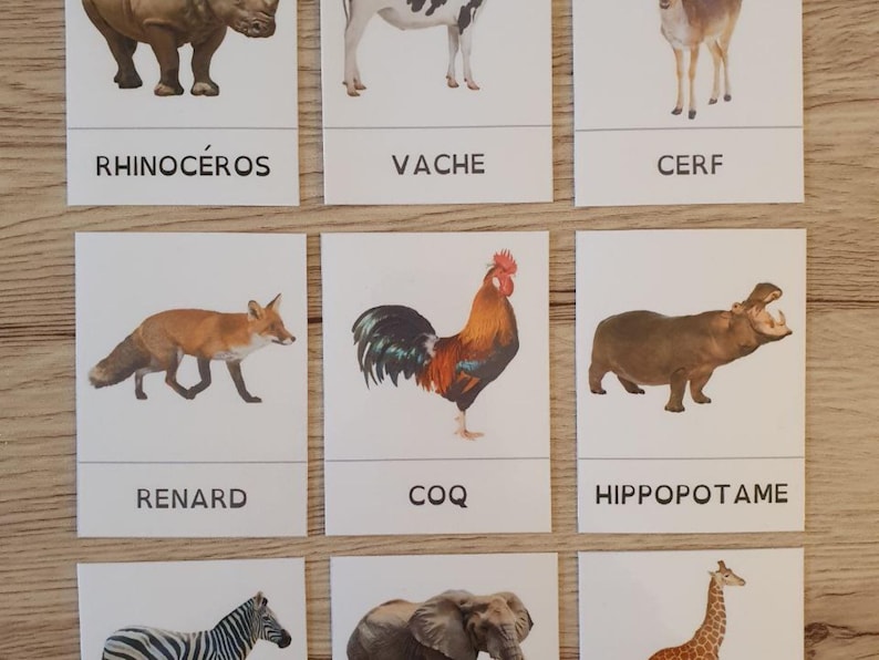 Cartes De Nomenclature Animaux Montessori – PDF à Imprimer – 20 Animaux ...