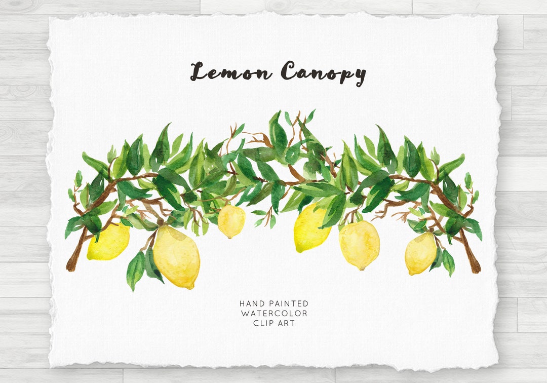 Watercolor PNG Clip Art - Lemon Canopy Border, Transparent Individual ...