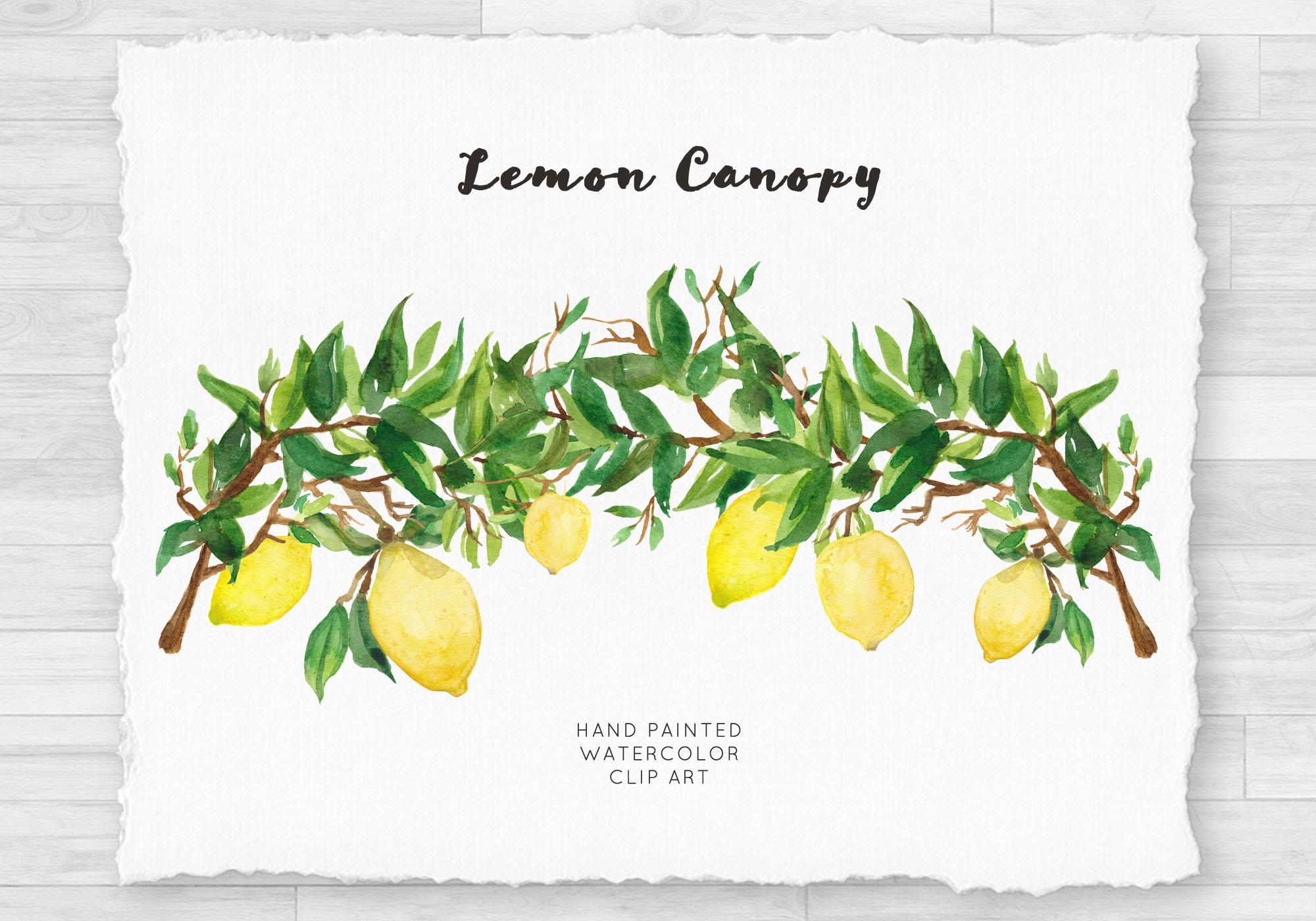 Watercolor PNG Clip Art - Lemon Canopy Border, Transparent Individual ...