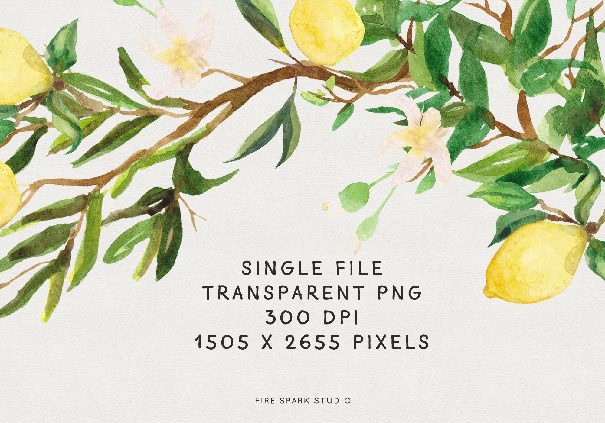 Watercolor PNG Clip Art - Lemon Branch Border, Transparent Individual ...