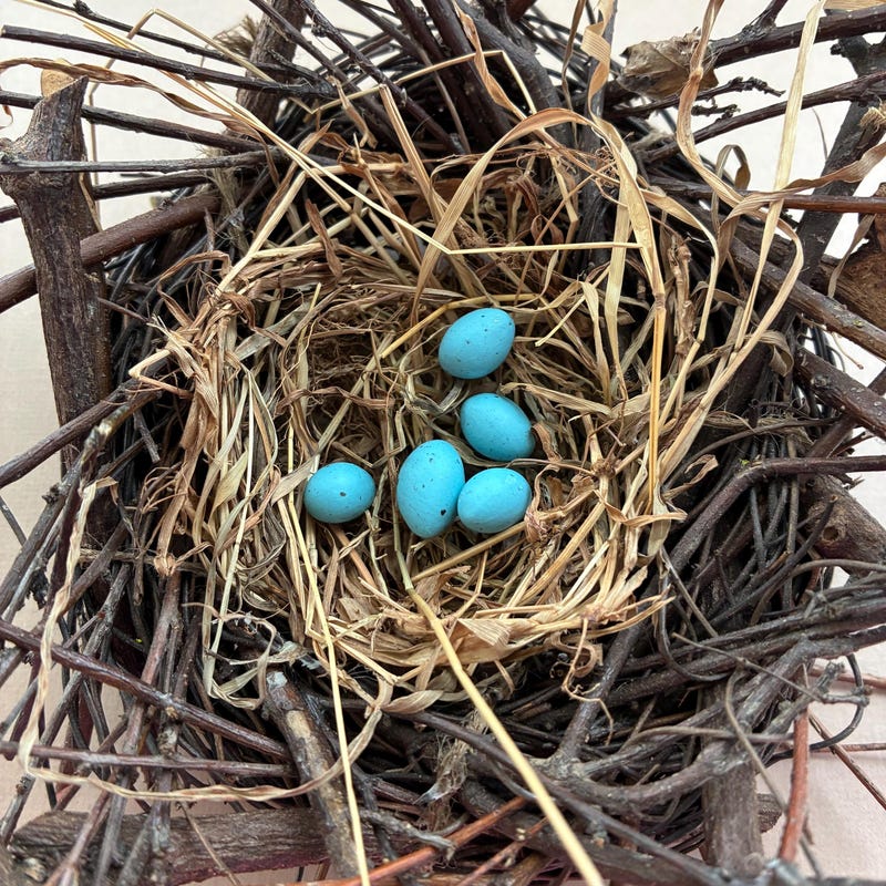 Realistic Eggs for Decor - Etsy