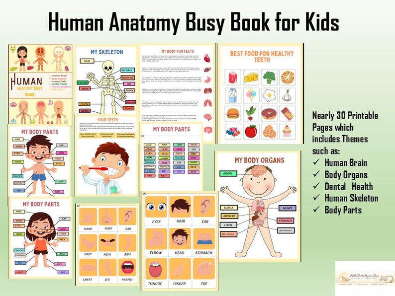 My First Human Anatomy Busy Book- A Busy Printable PDF for Kid and ...