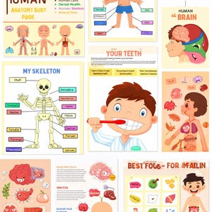 My First Human Anatomy Busy Book- A Busy Printable PDF for Kid and ...