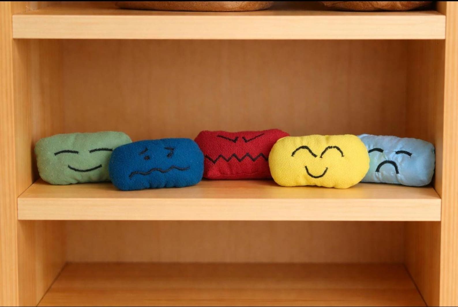 Weighted Emotion Bean Bag Set – Sensory Regulation Therapy Tool for ...