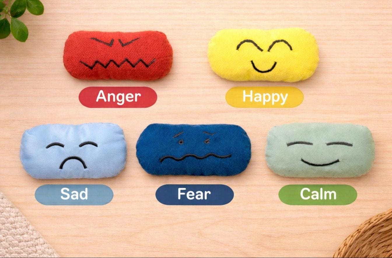 Weighted Emotion Bean Bag Set – Sensory Regulation Therapy Tool for ...