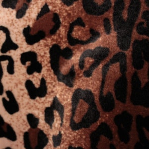 Y2K Velour Jacket // Zip Front // Leopard Print - Etsy