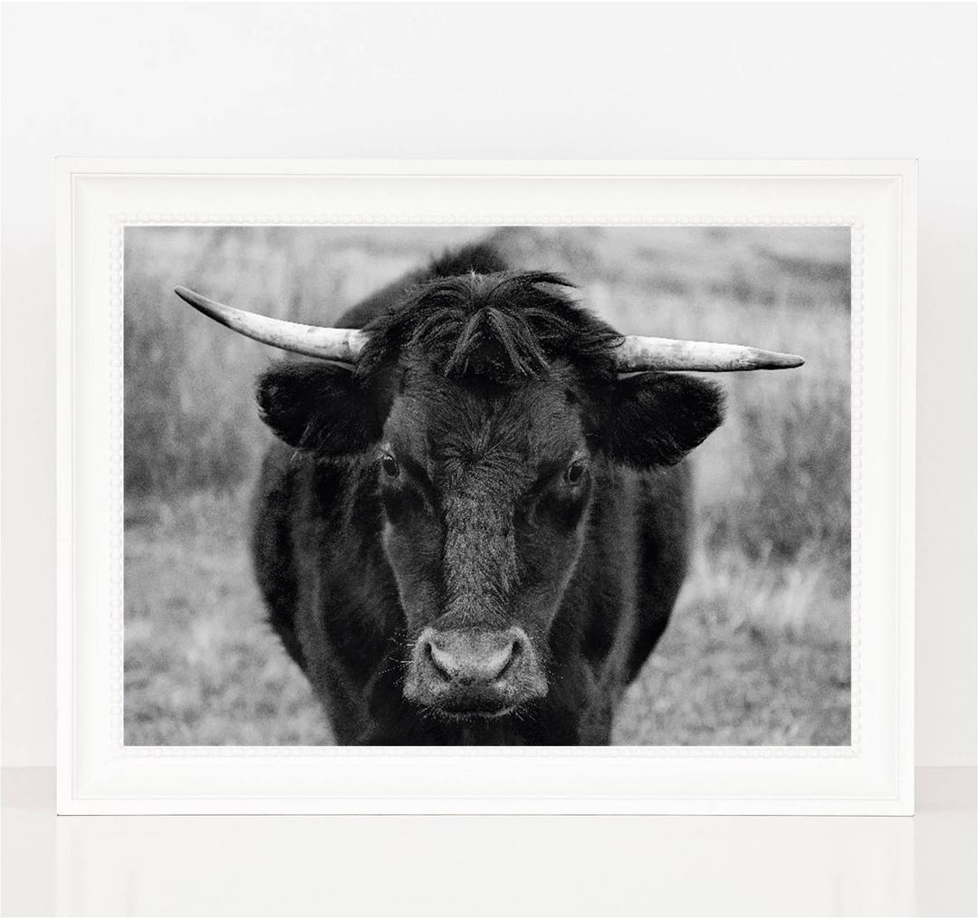 Black and White Cow Face Print - Etsy