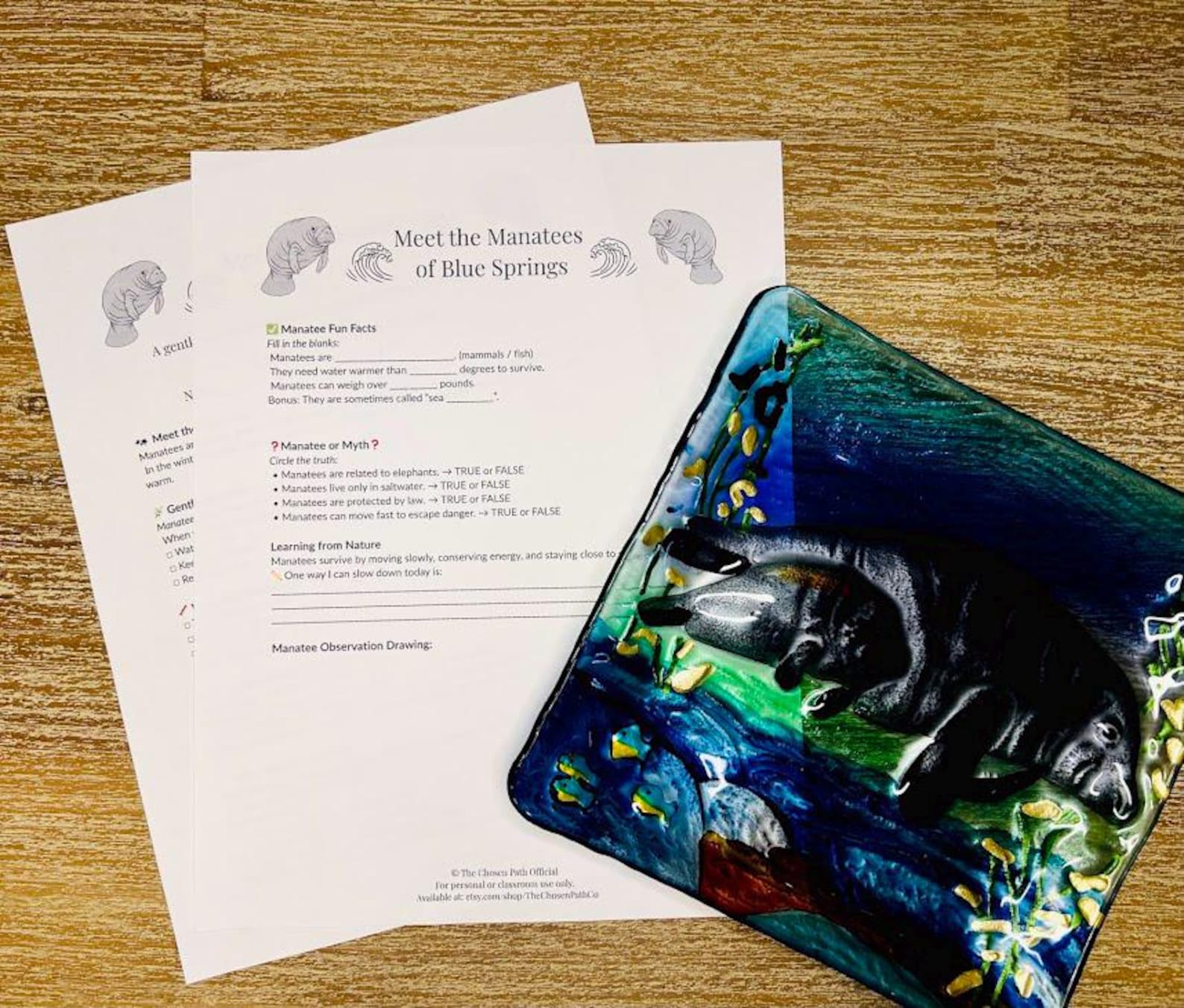 Florida Manatees at Blue Springs | Real Life Learning Nature Worksheet ...