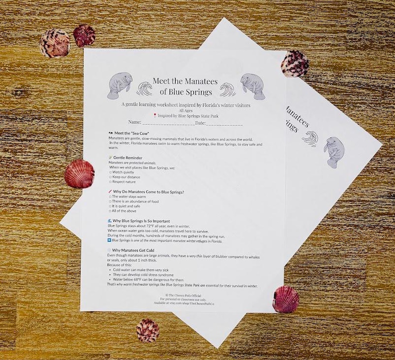 Florida Manatees at Blue Springs | Real Life Learning Nature Worksheet ...