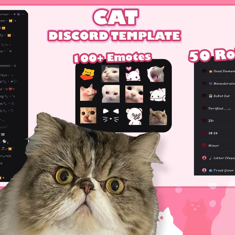 Cute Discord Server Templates - Etsy