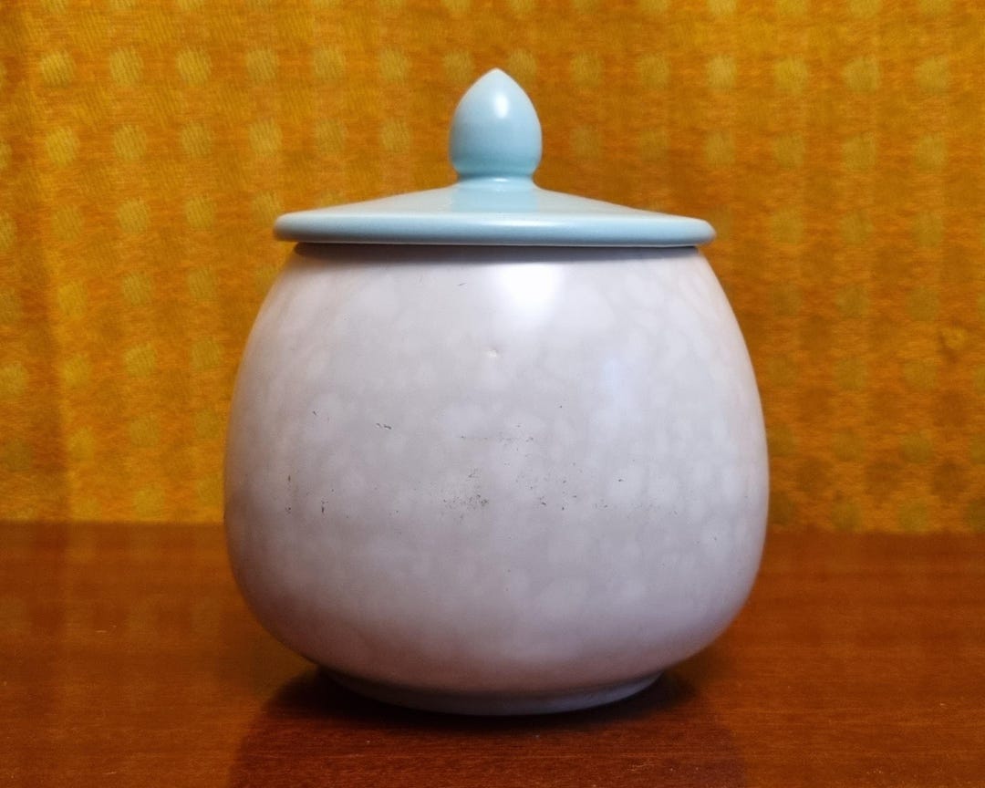 Vintage Poole Pottery Jam/honey Pot: Ice Green & Seagull Twintone - Etsy